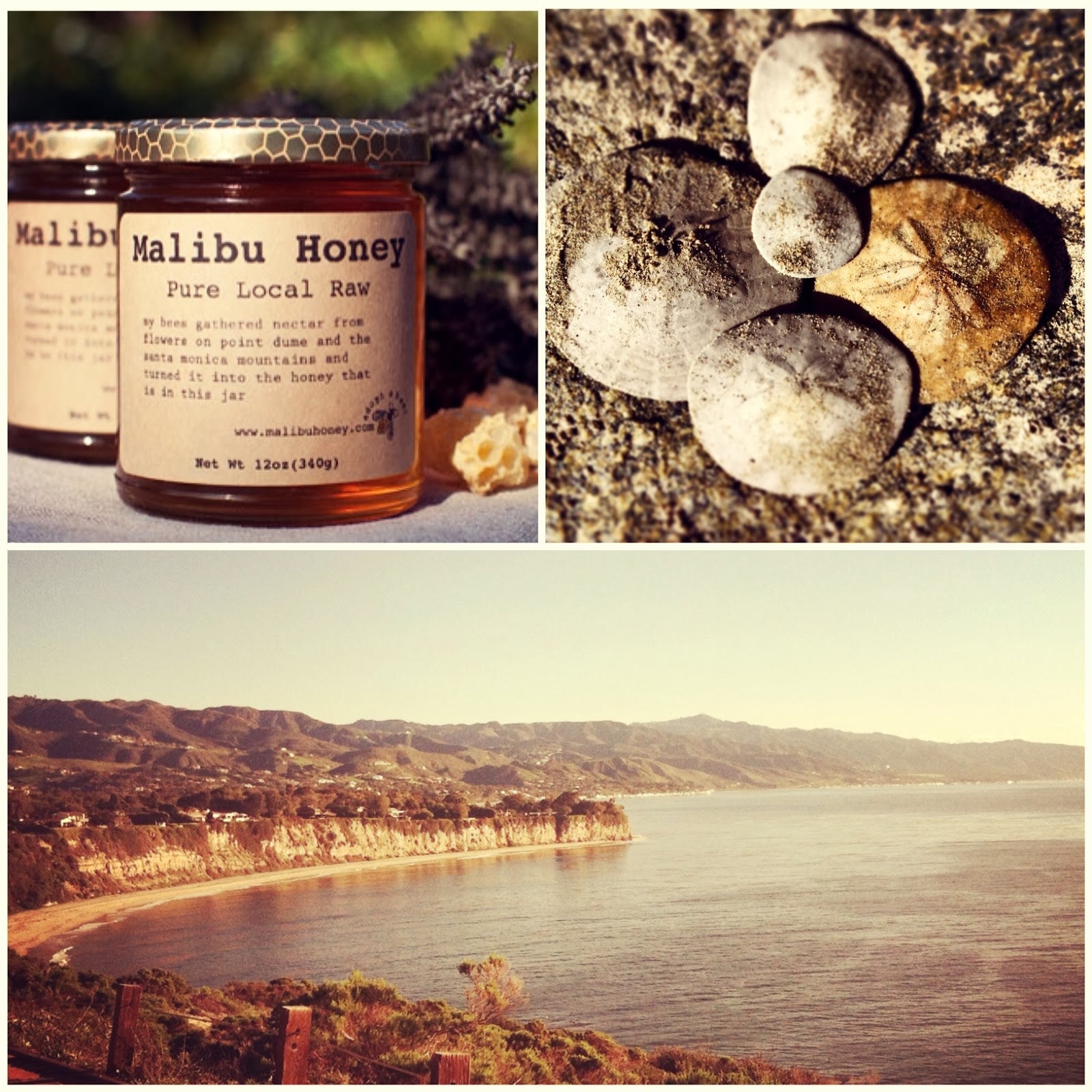 malibu local – kai fragrance